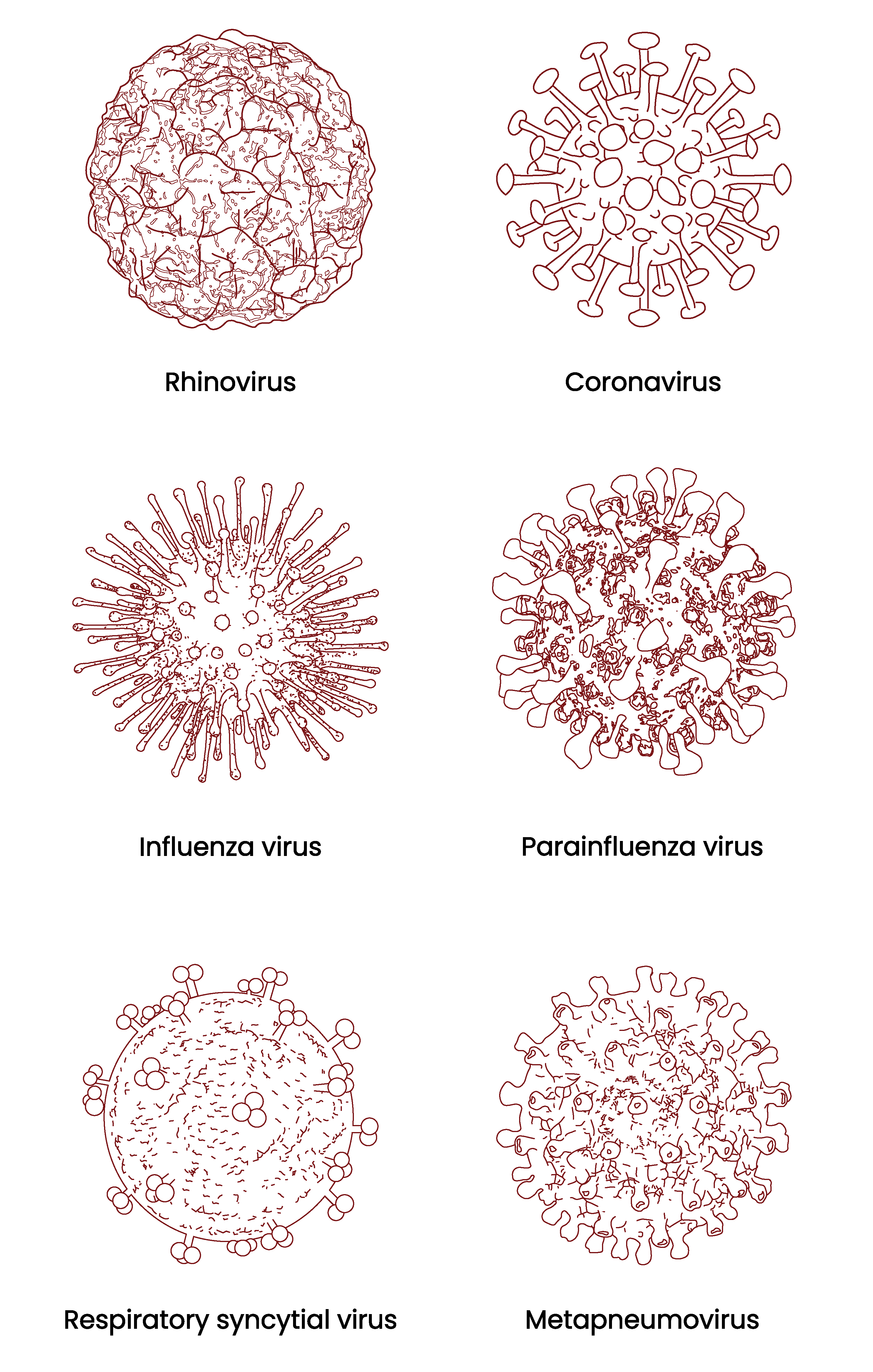 About - Firebrick Pharma